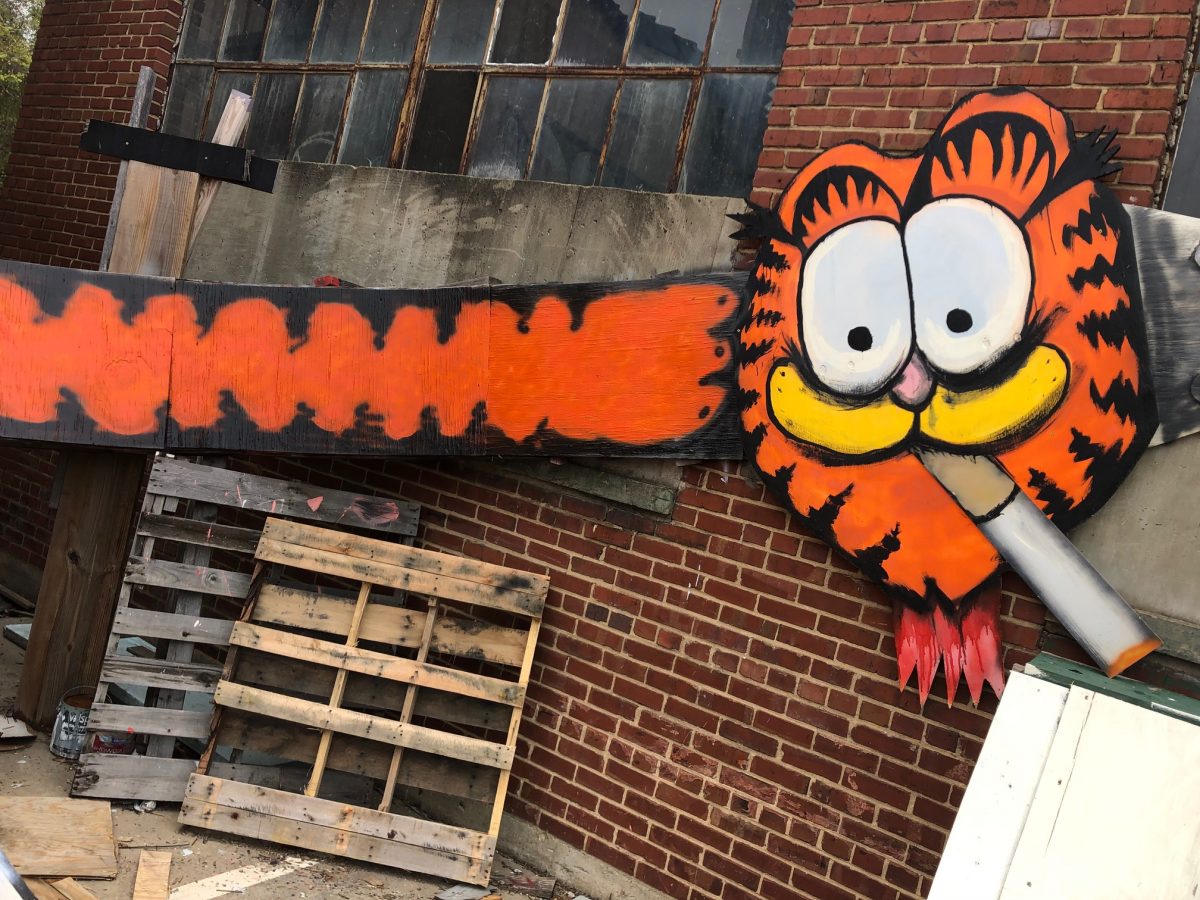 Frog Shark Garfield DIY Ramps – FBM Bike Co.