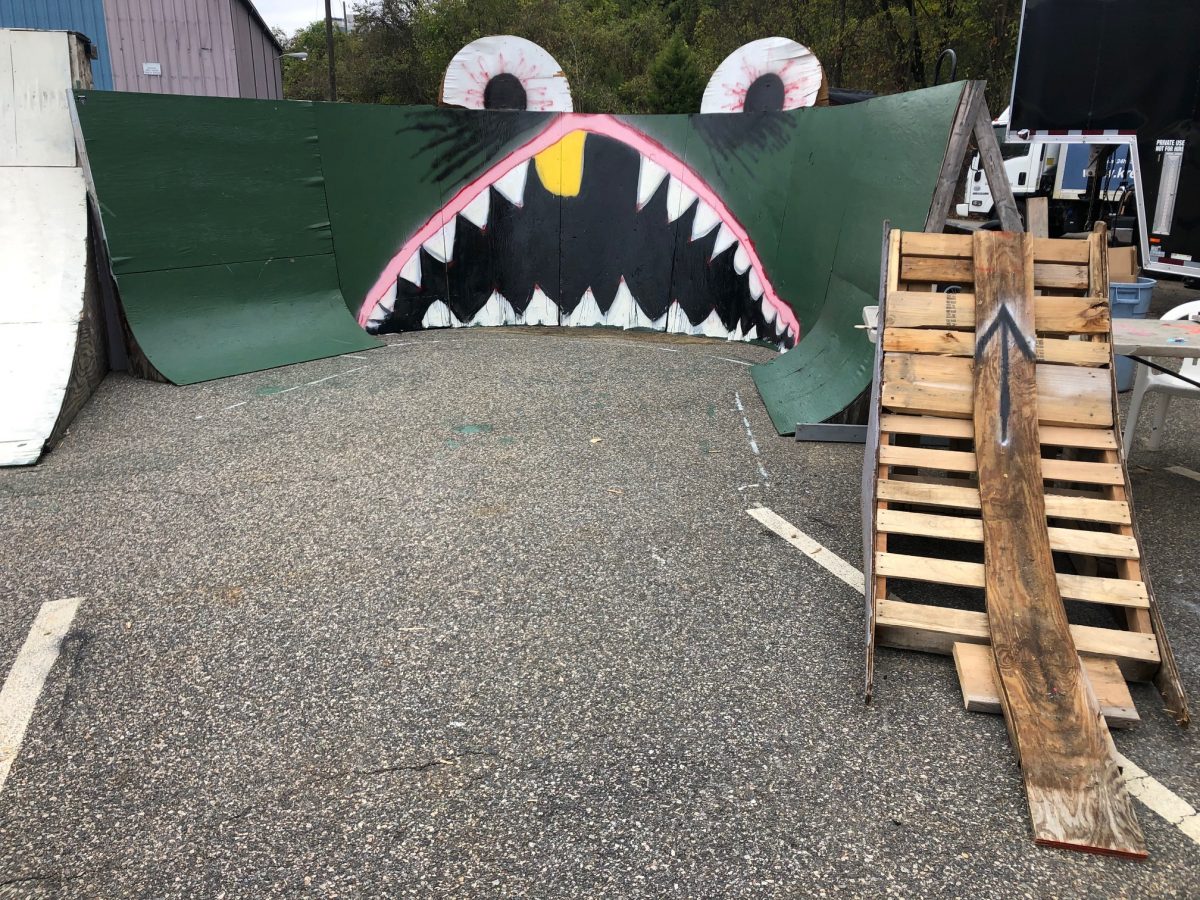 Frog Shark Garfield DIY Ramps – FBM Bike Co.